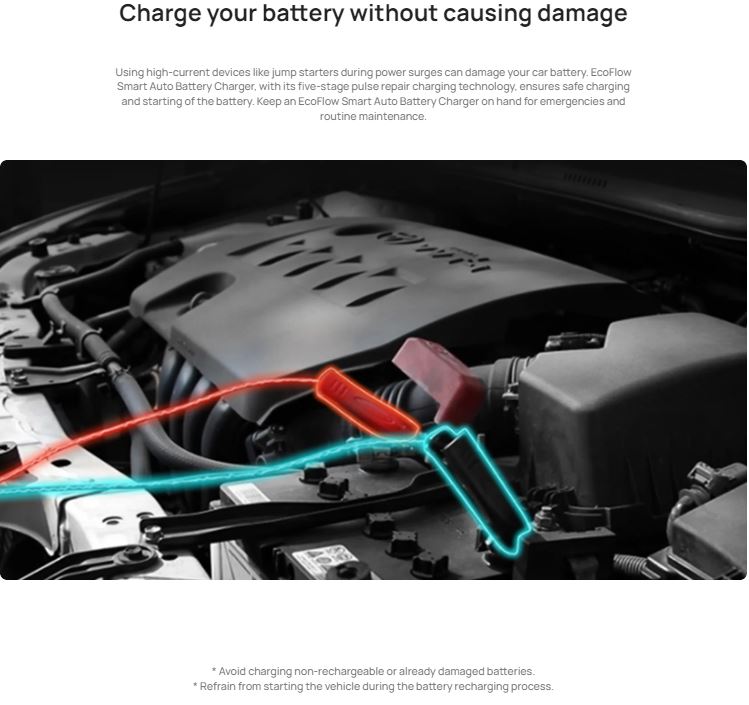 EcoFlow Smart 12V/24V Auto Battery Jump Starter, Maintainer & Charger ...